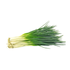 Spring Onion Egypt (Case18) – Longdan Wholesale
