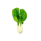 White Pak Choi [Spain] (Case-6Kg) – Longdan Wholesale